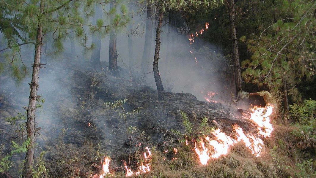 Army and IAF contain massive Kasauli forest fire after 15-hour battle