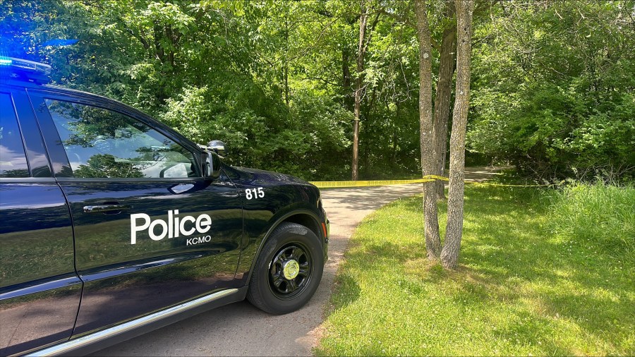 Child critically injured after being hit by falling tree in Northland: KCFD