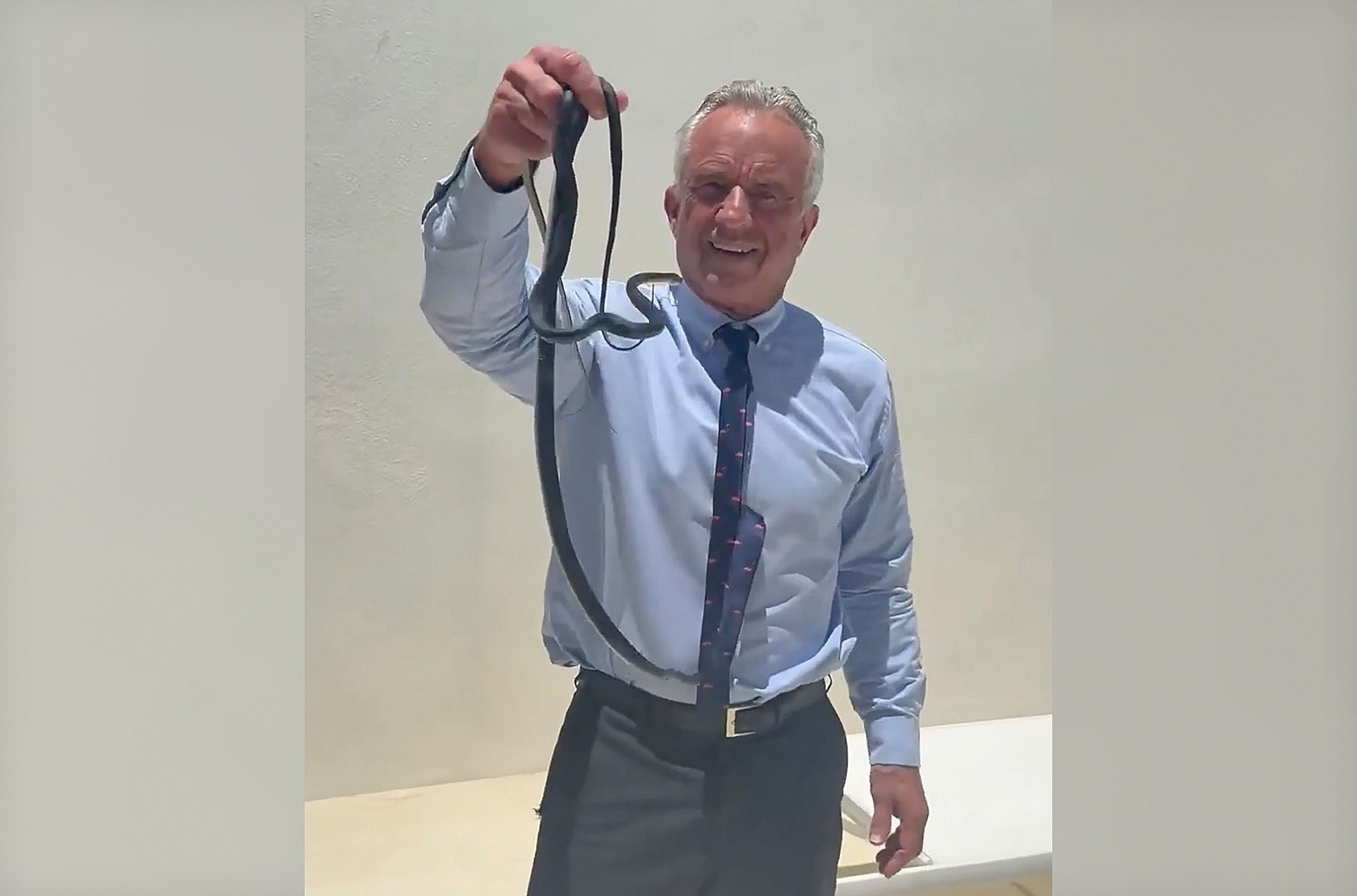 Robert F Kennedy Jr. captures pair of snakes in viral video