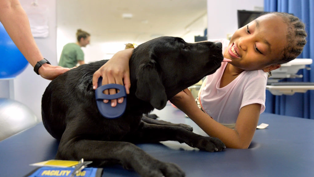 Children’s hospitals expand facility dog programs nationwide