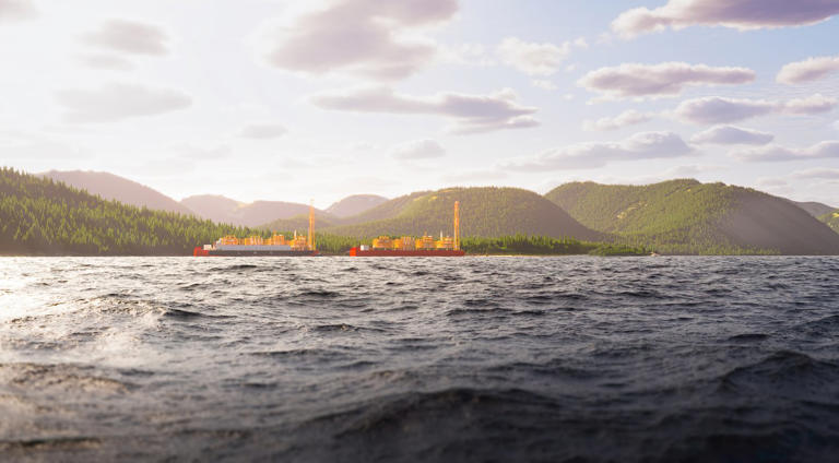 German utility to buy one million tonnes of LNG per year from Ksi ...