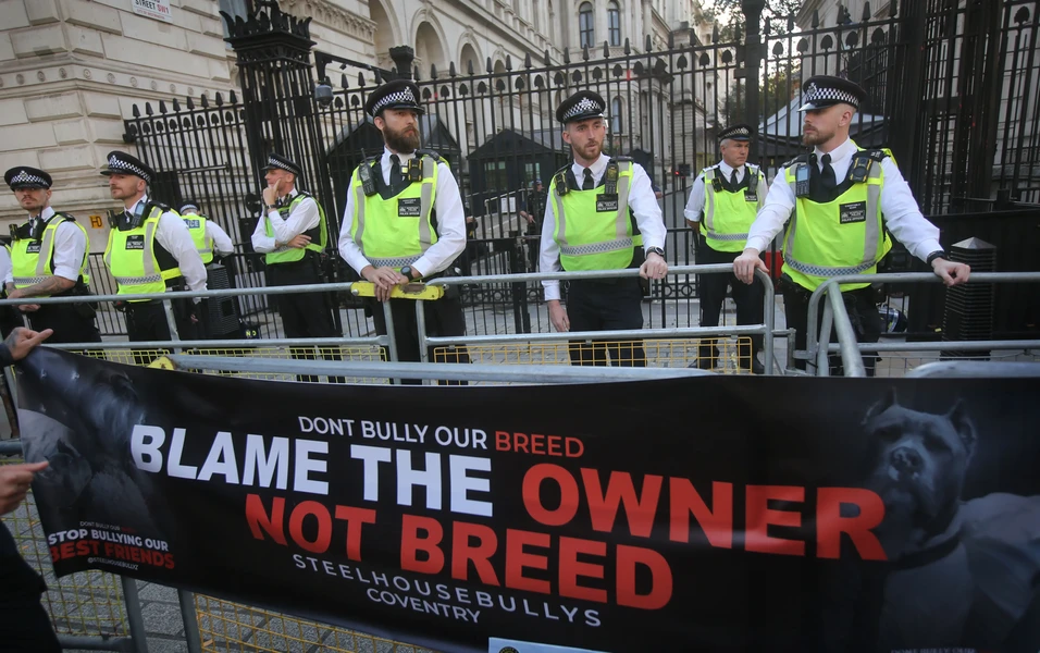 Woman admits charge over fatal XL bully attack