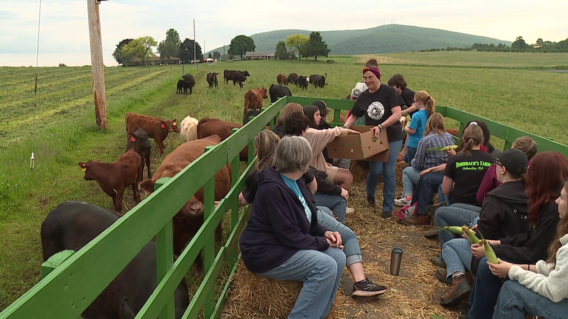 Summertime fun at Rohrbach's Farm
