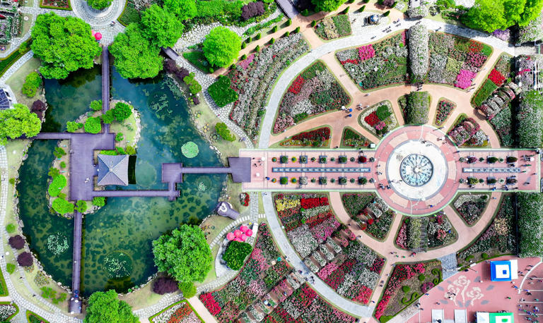 Gokseong Rose Festival sky view reveals geometric patterns