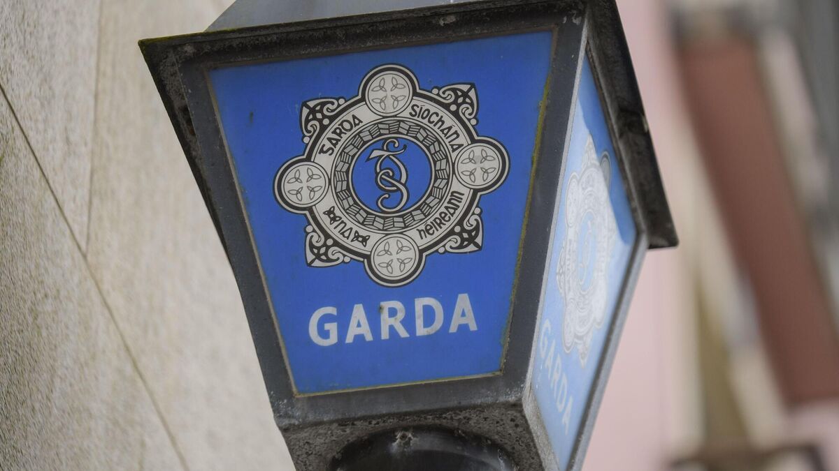 Fiosrú investigations led to jail sentences for two gardaí