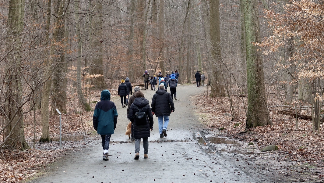 Rain sounds and nature walks linked to stress relief