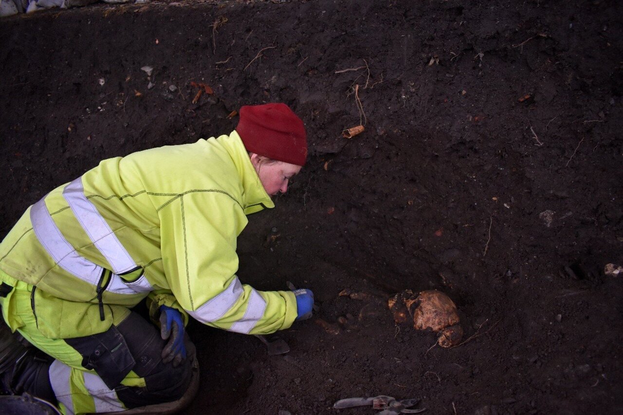 Researchers link specific microbiomes to archaeological bone degradation