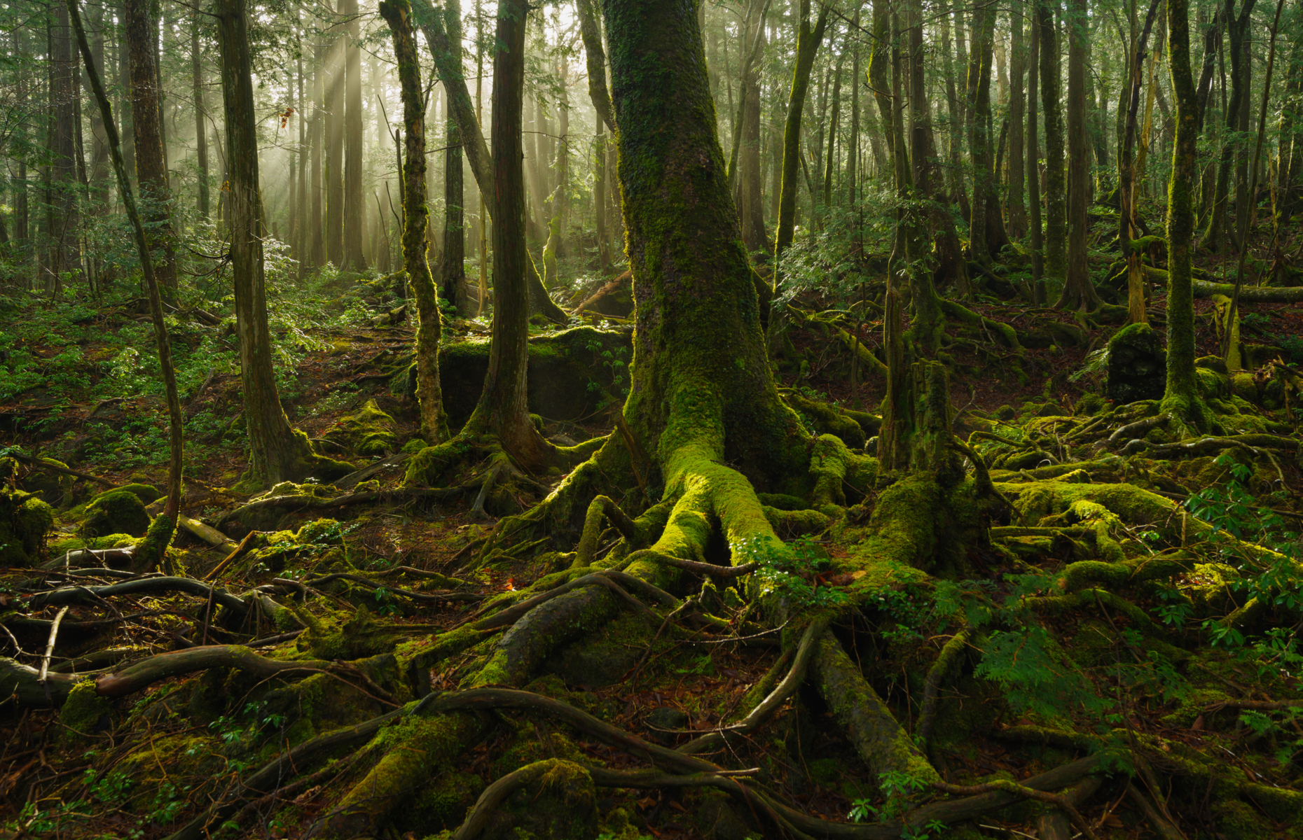 World’s most haunted places