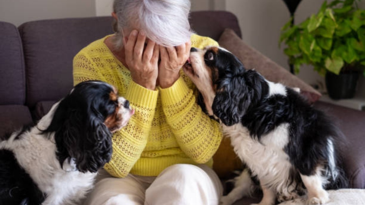 10 things dogs do when they think something's wrong with you