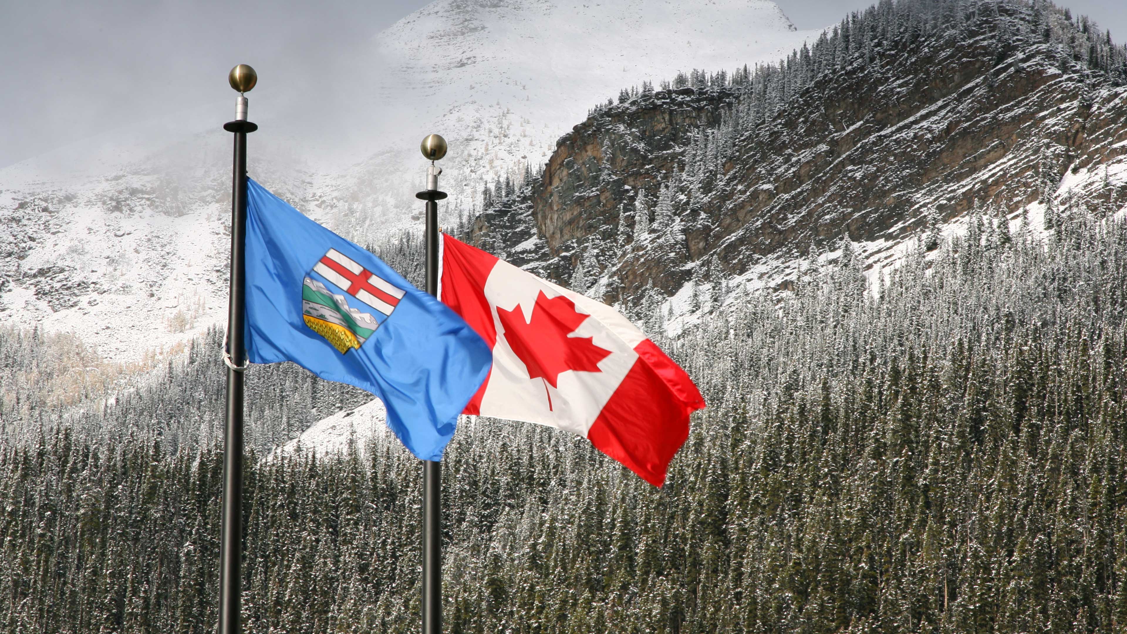 Confused by the Alberta referendum?