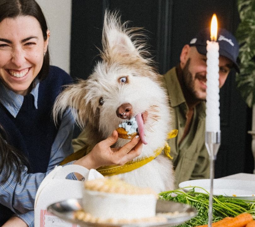 A gourmet restaurant for dogs opens in France
