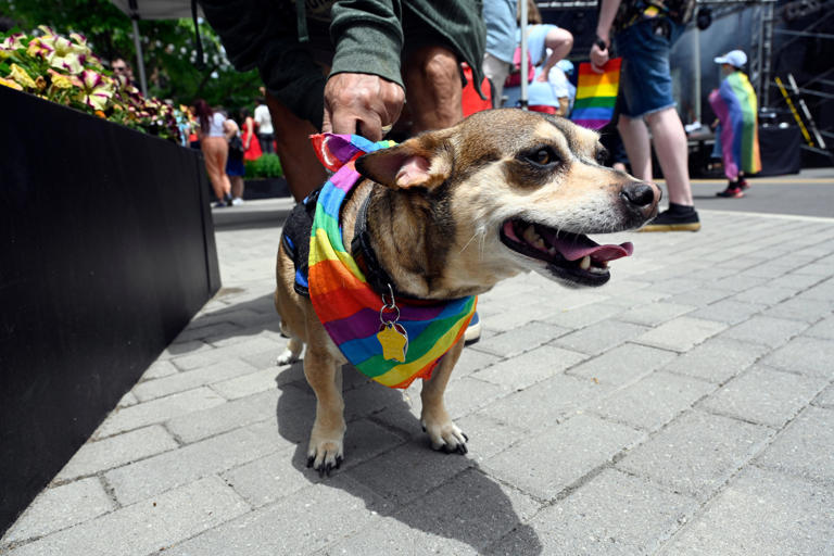 Ferndale Pride kicks off a summer of community-focused celebrations