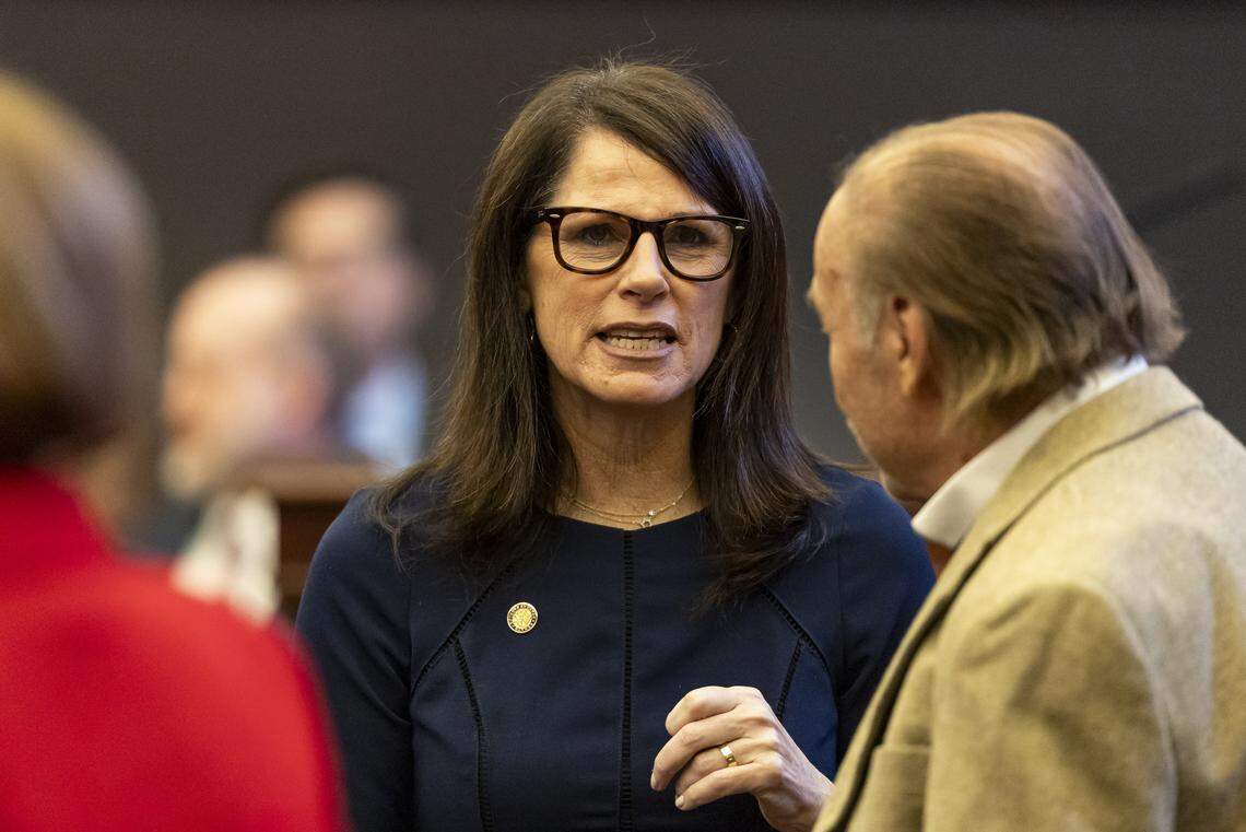 Tina Polsky won't seek re-election, backs Lauren Book for Senate ...