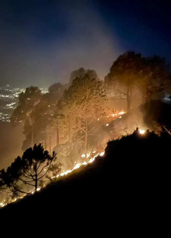 IAF drops 40,000 litres from Sukhna Lake to tame Kasauli inferno