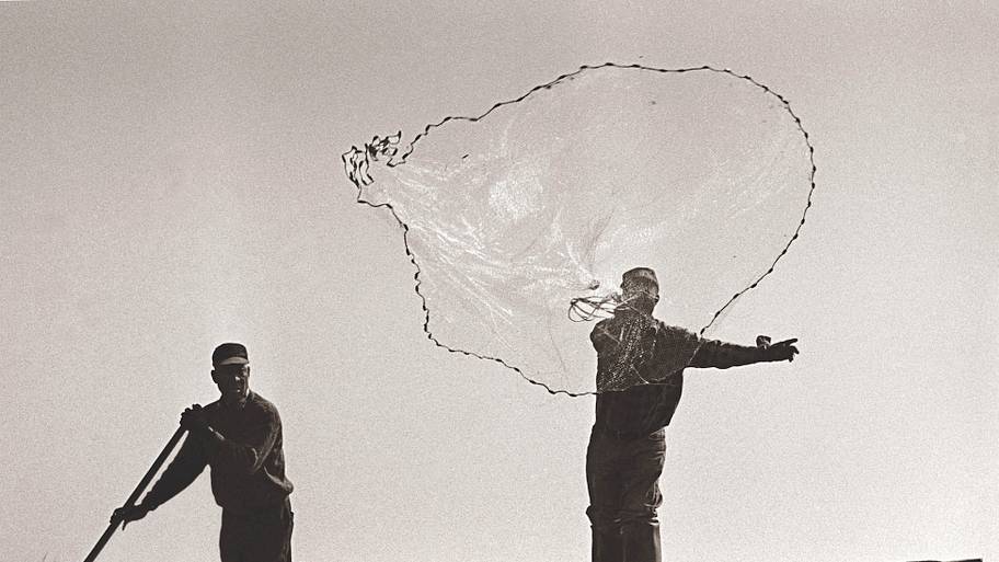 Inside 'To Catch a Fish': The new exhibit exploring the art and culture ...