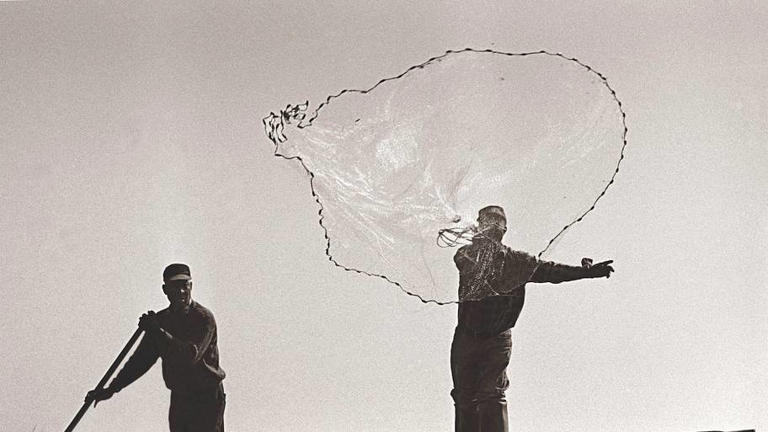 Inside 'To Catch a Fish': The new exhibit exploring the art and culture ...
