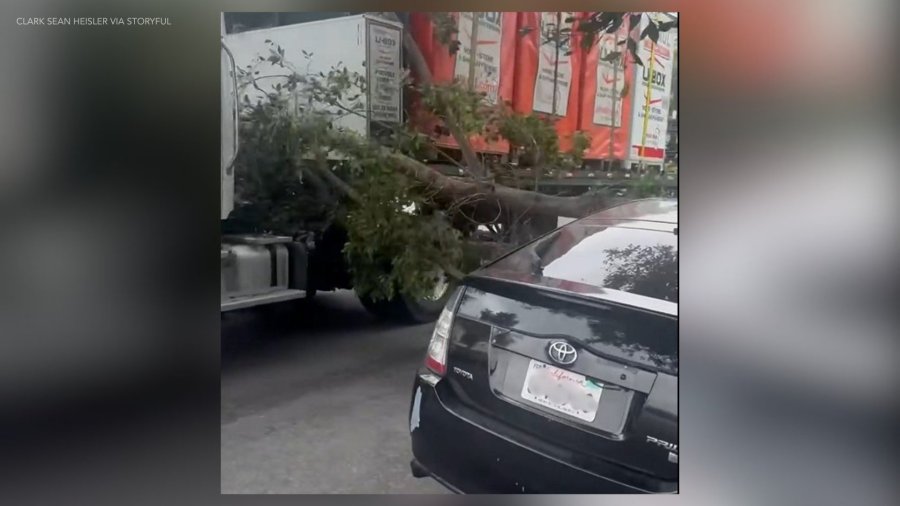 Bizarre U-Haul tree branch rampage damages a dozen cars in North Hollywood
