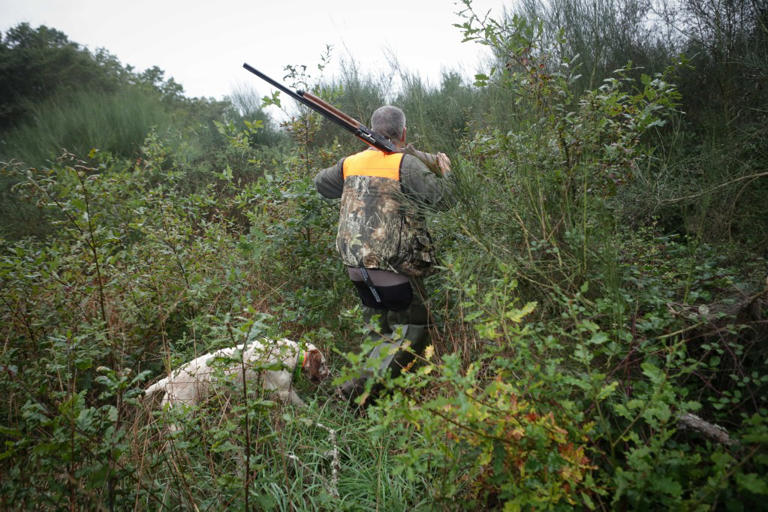 Animal cruelty ballot initiative criminalizing hunting and fishing ...