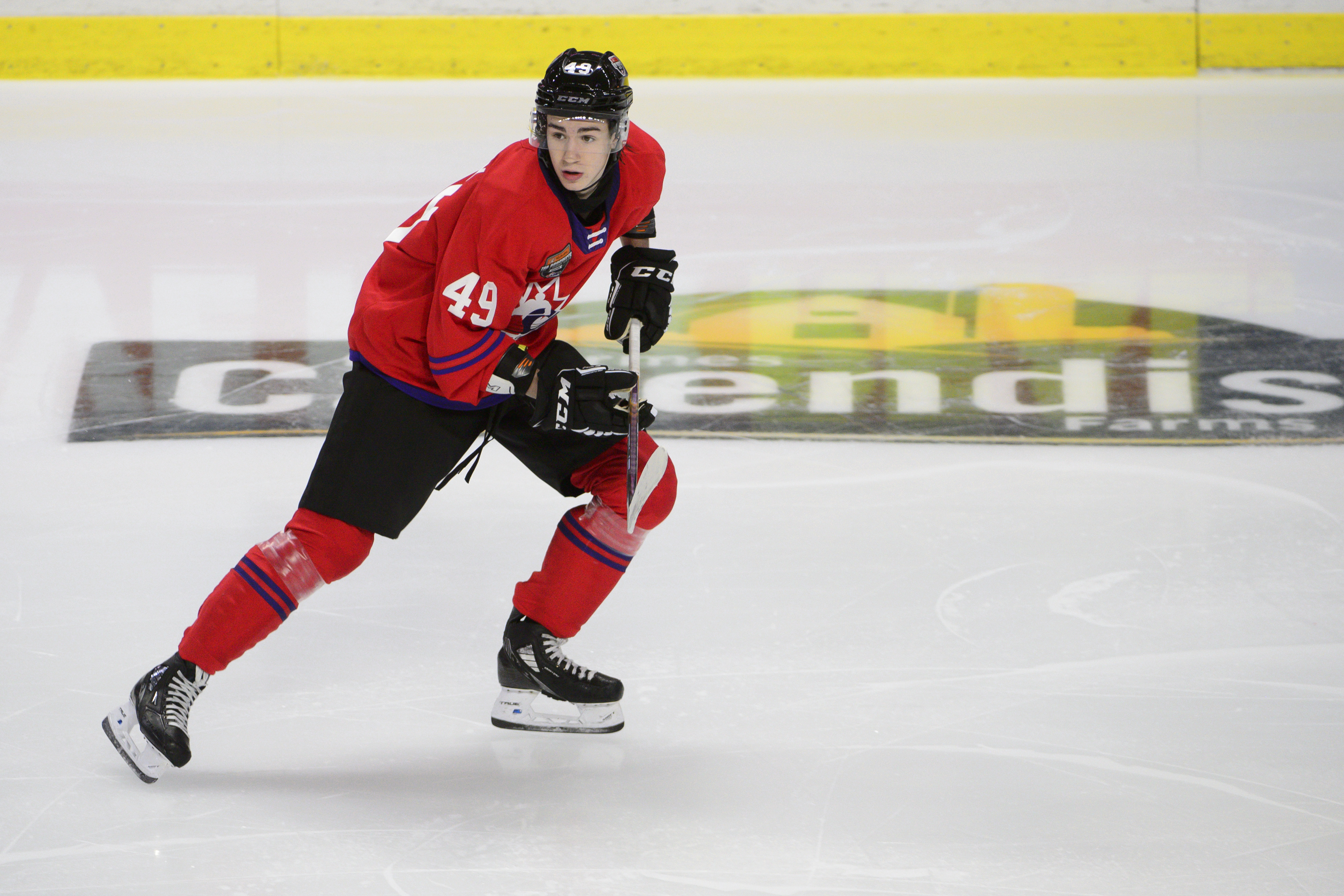 CHL bans Jordan Tourigny for rest of Memorial Cup after disturbing ...