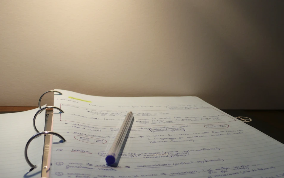 Why your notebook might save your mind
