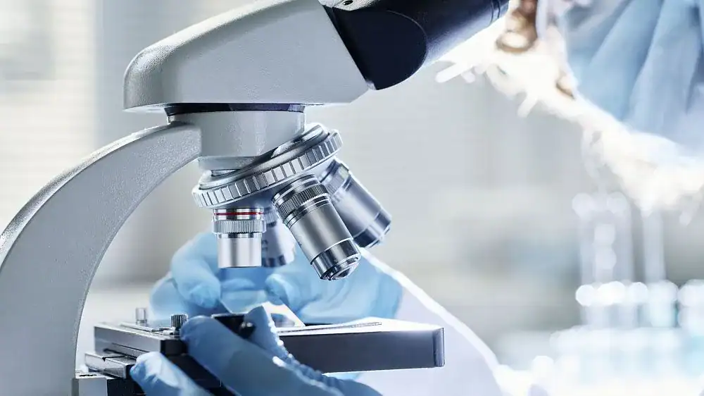 Russian scientists improve waste recycling potential with advanced ...