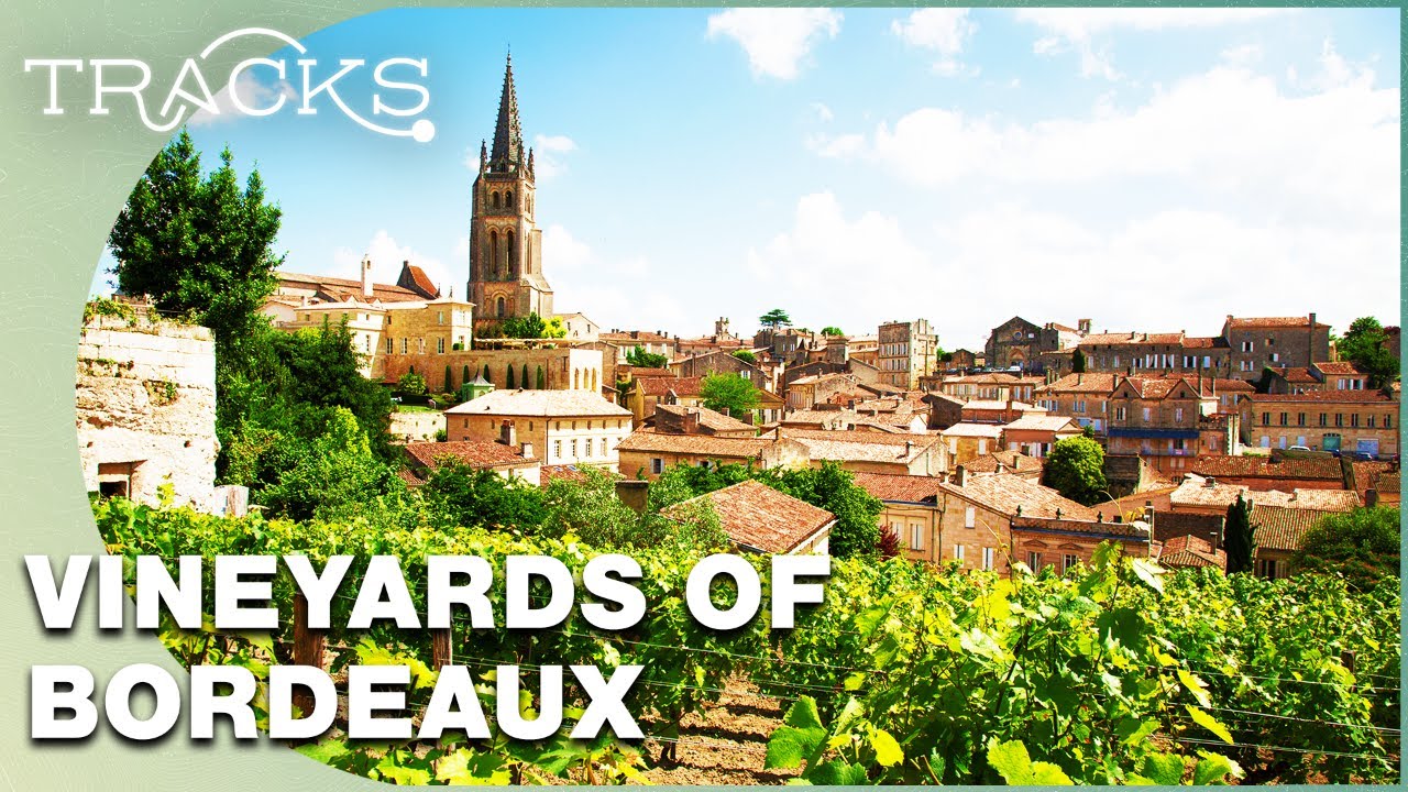 France's Bordeaux & Dordogne: Vineyards, castles and rivers | TRACKS
