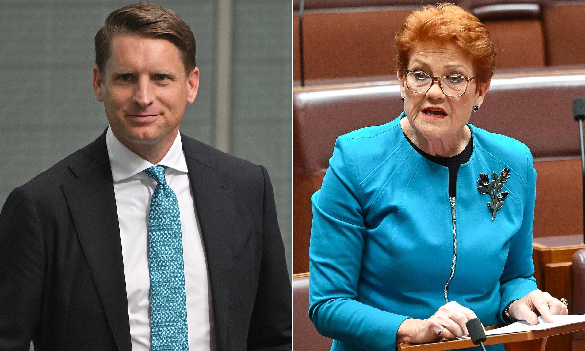 How Pauline Hanson and One Nation are gearing up to go to war with ...