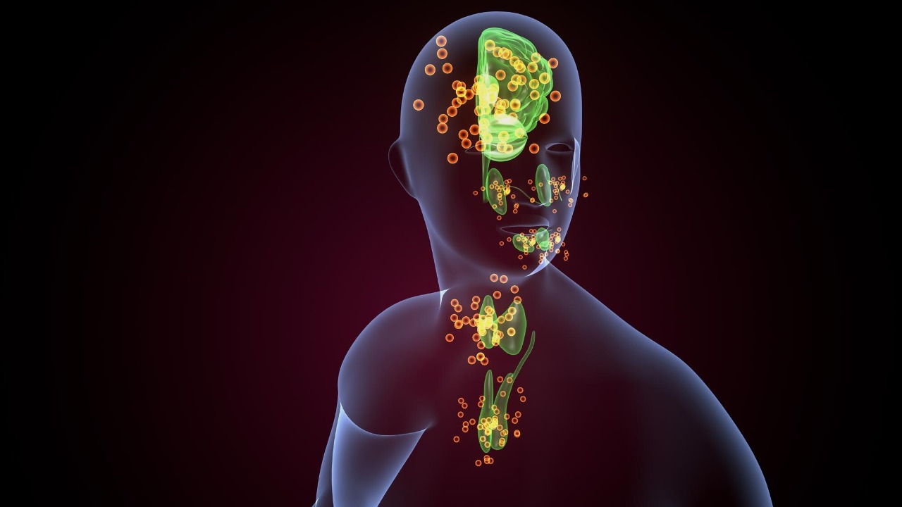 A new map of the smell receptors inside the nose just overturned the ...