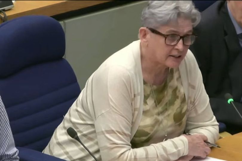 Maureen Devlin is elected as first female leader of South Lanarkshire ...