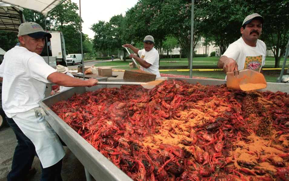 Cajun food stories from bayou to your table