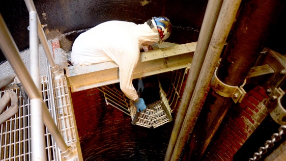 Toilet truths every homeowner should know