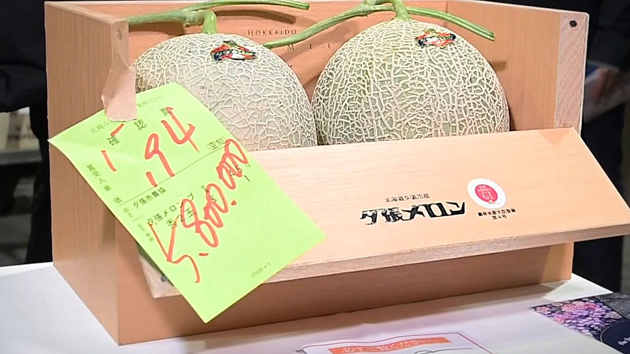 Premium melons sell for record $36,500 at auction in Japan