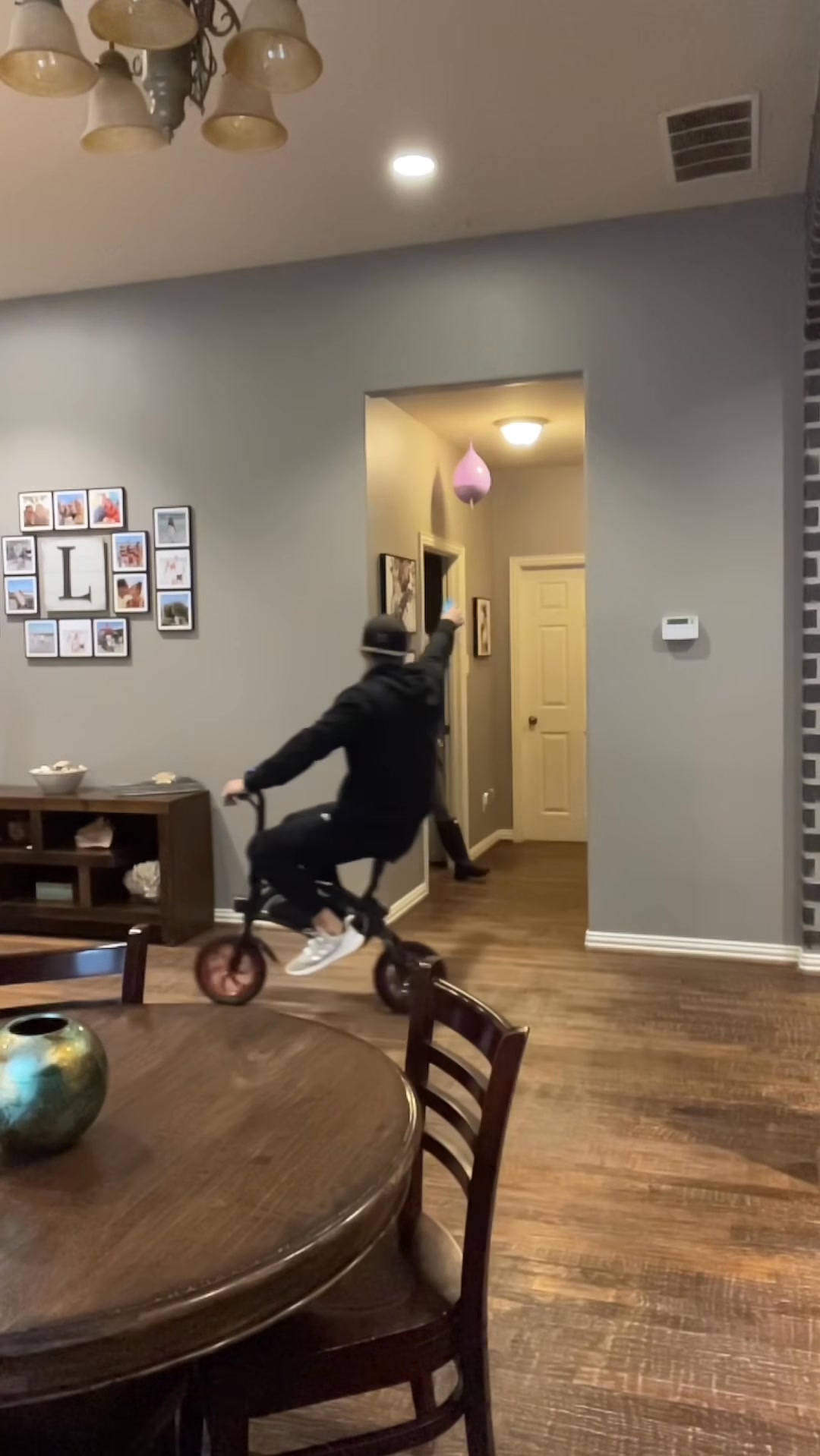 Never a dull moment at home