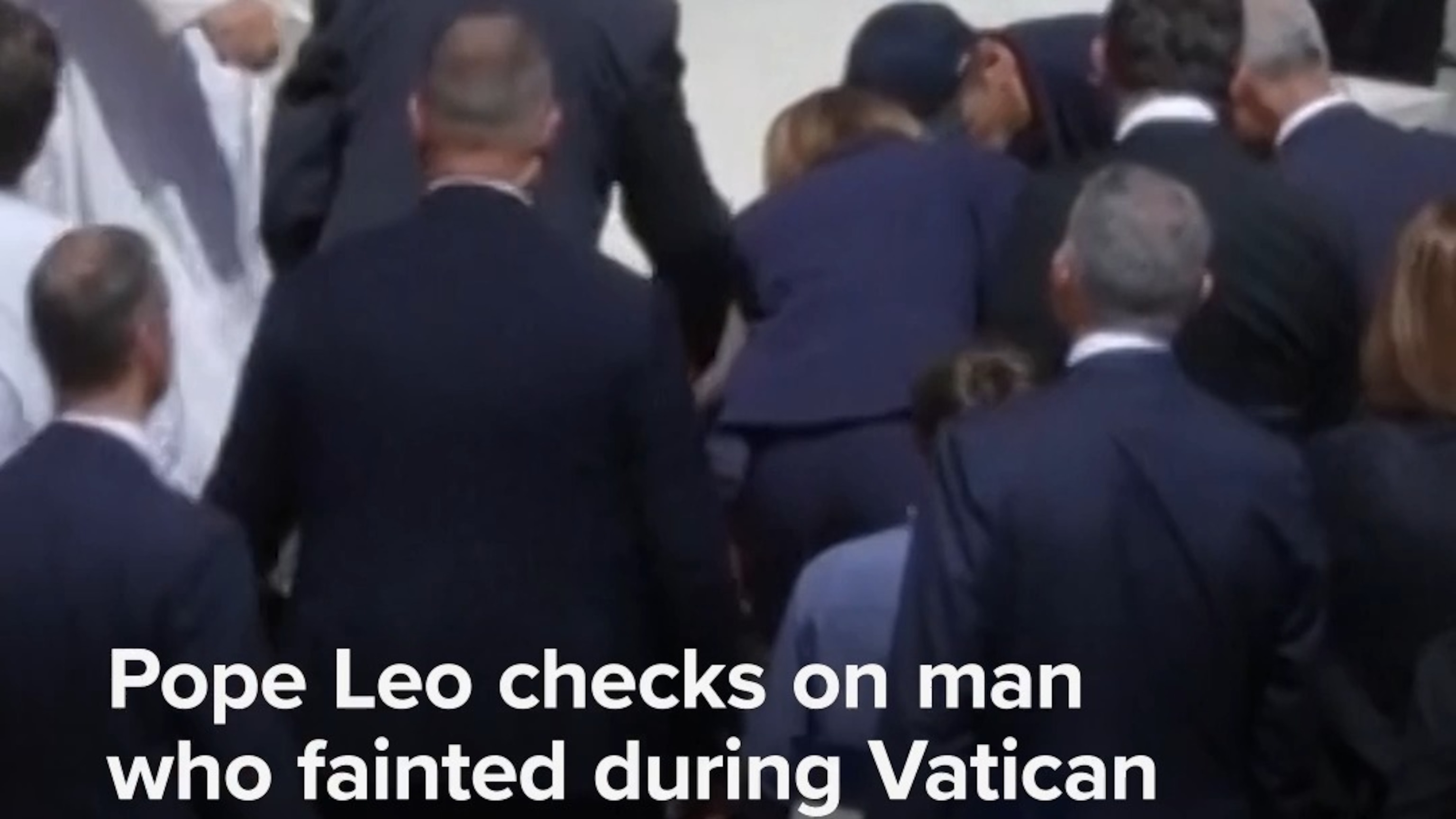 Pope Leo checks on man who fainted during Vatican audience in heat wave