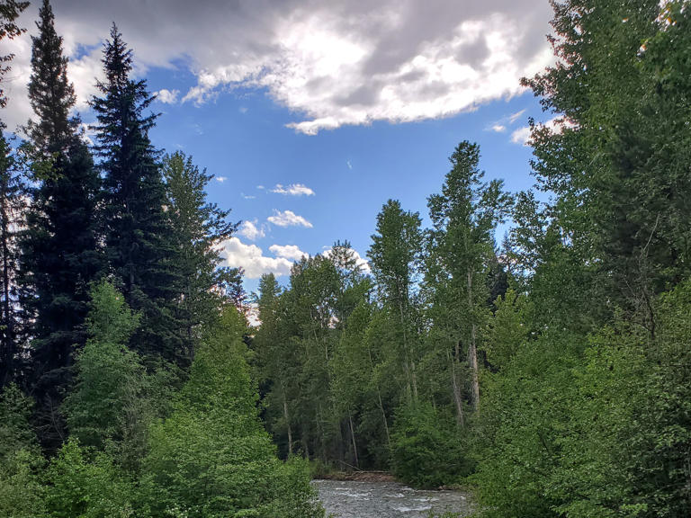 Quartz Creek Campground: Glacier's smallest and most secluded primitive ...