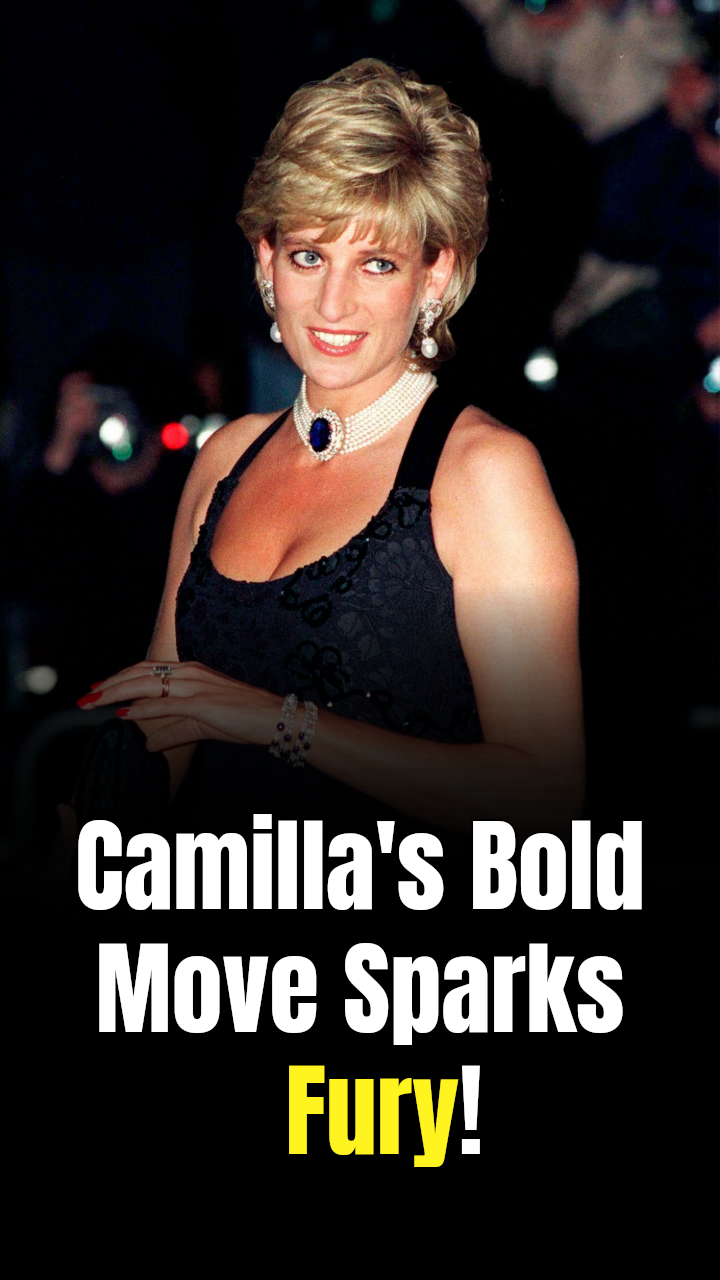 Fans of Princess Diana criticize Queen Camilla over Lady Dior bag ...