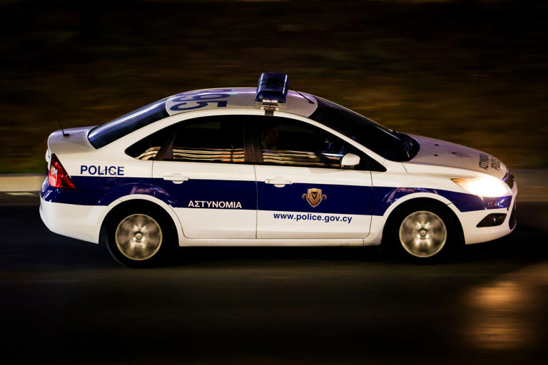 Cypriot police detain two Syrians after attack on three Israelis