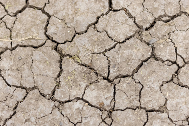 Tampa water restriction violations increase during drought