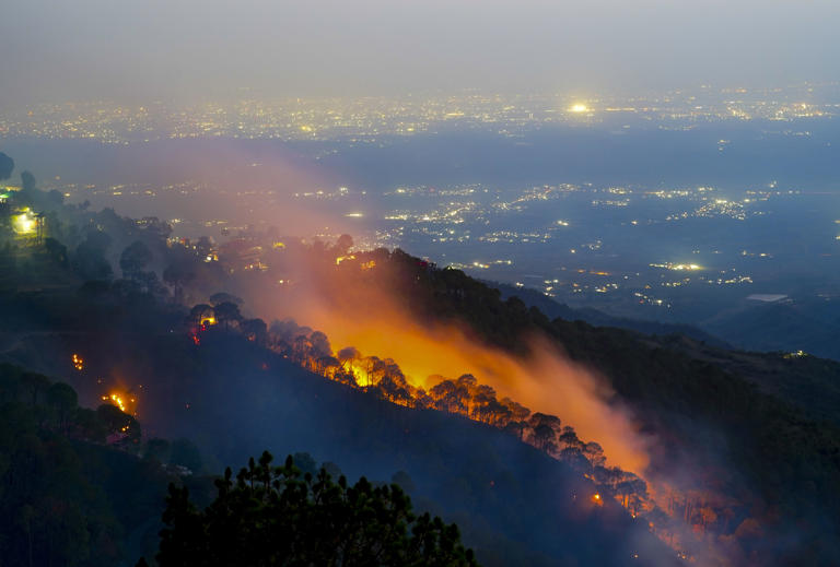 Himachal: Army, IAF contain massive forest fire in Kasauli after 15 ...