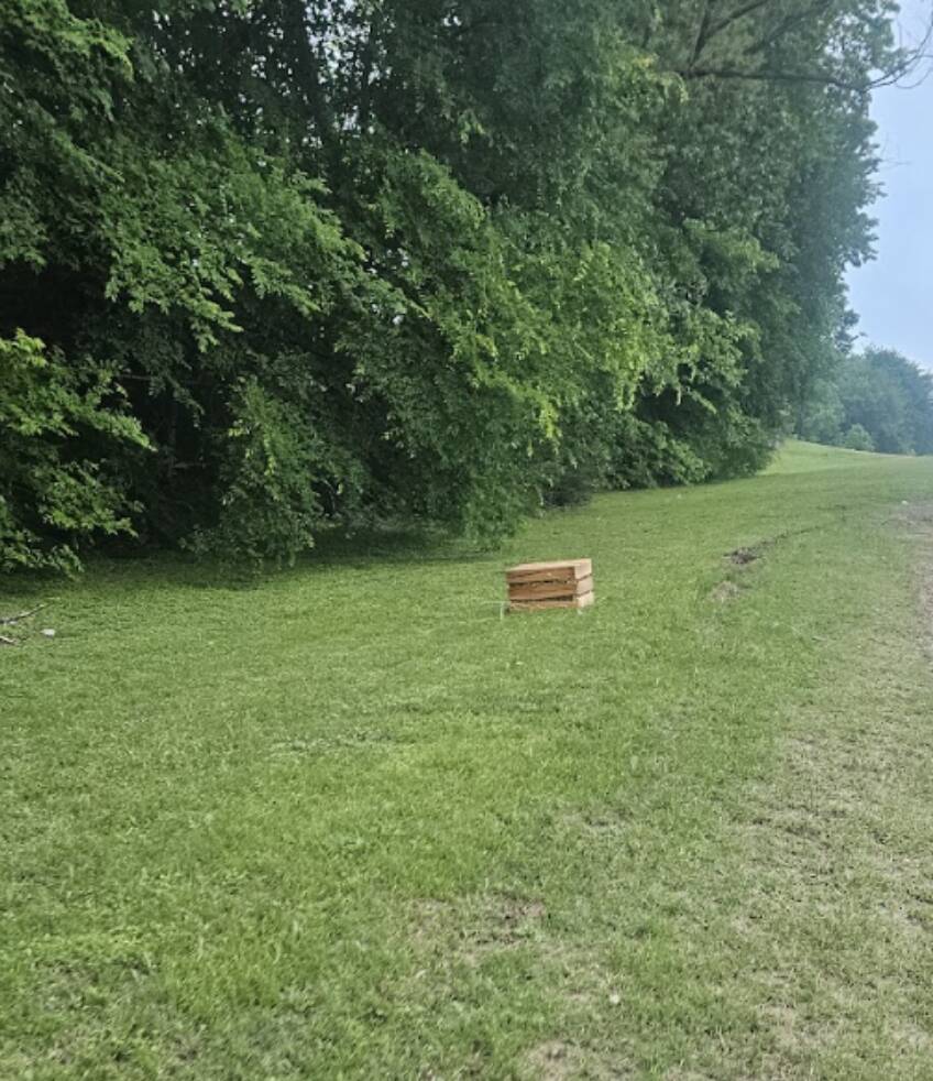 Teacher driving to work checks abandoned crate and finds 5 babies ...