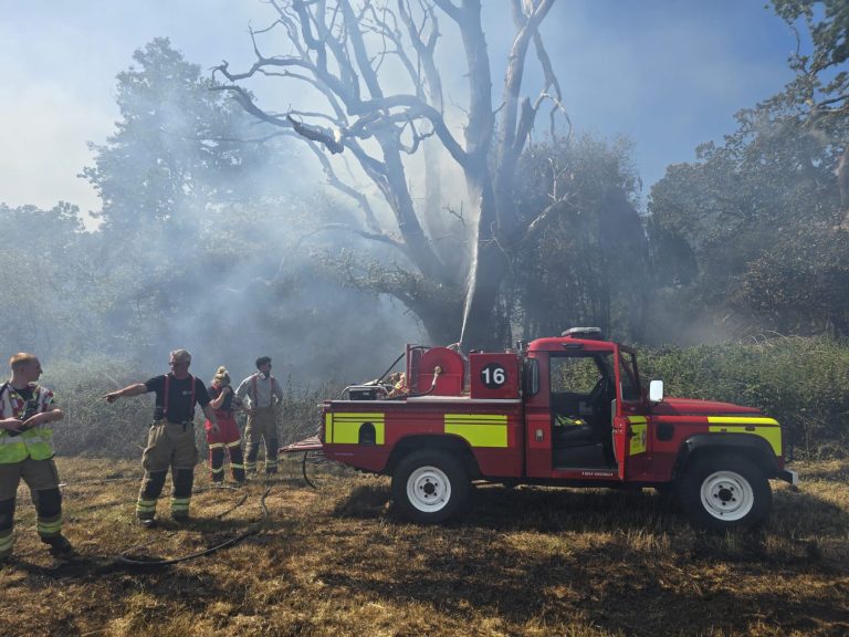 Watch more than 40 brave firefighters tackle blaze in Havant field as ...