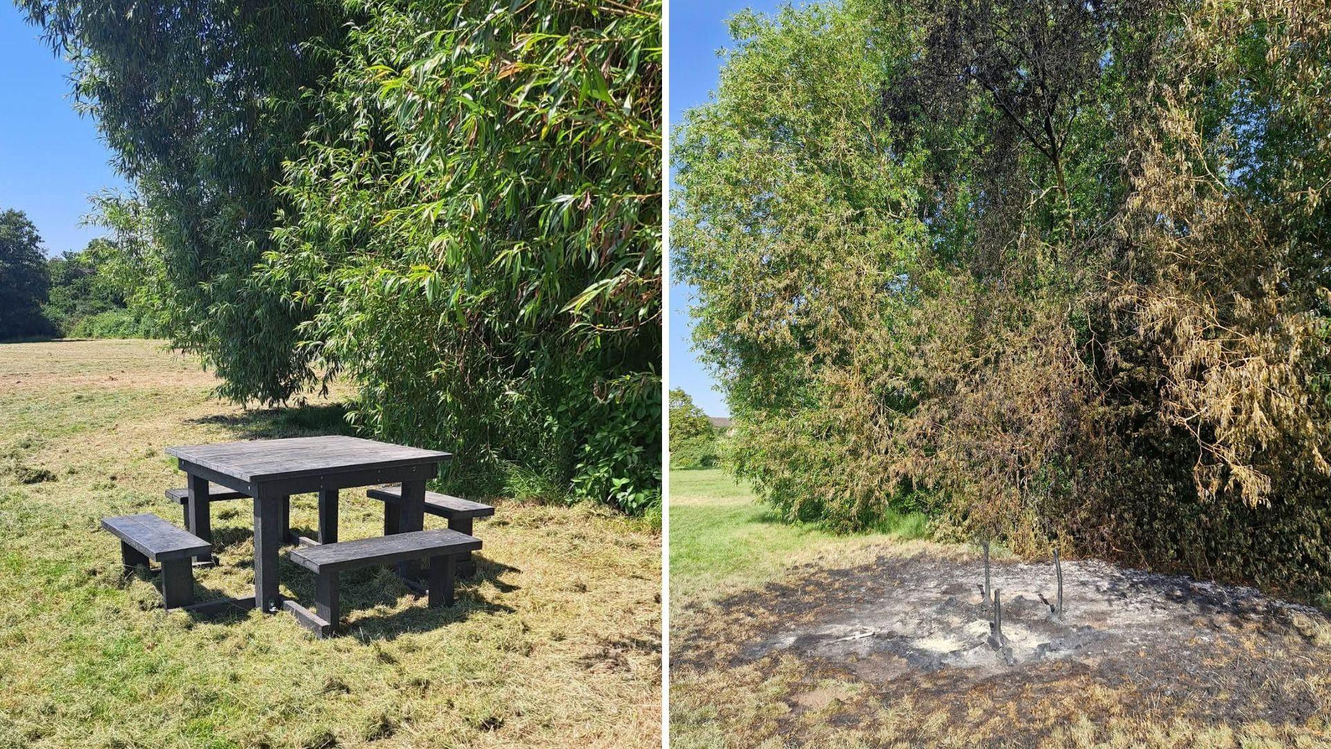 Mum's horror as memorial bench destroyed in fire