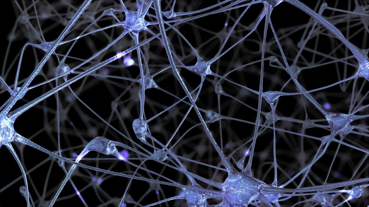 Scientists just identified sequentially operating molecular 'timers ...