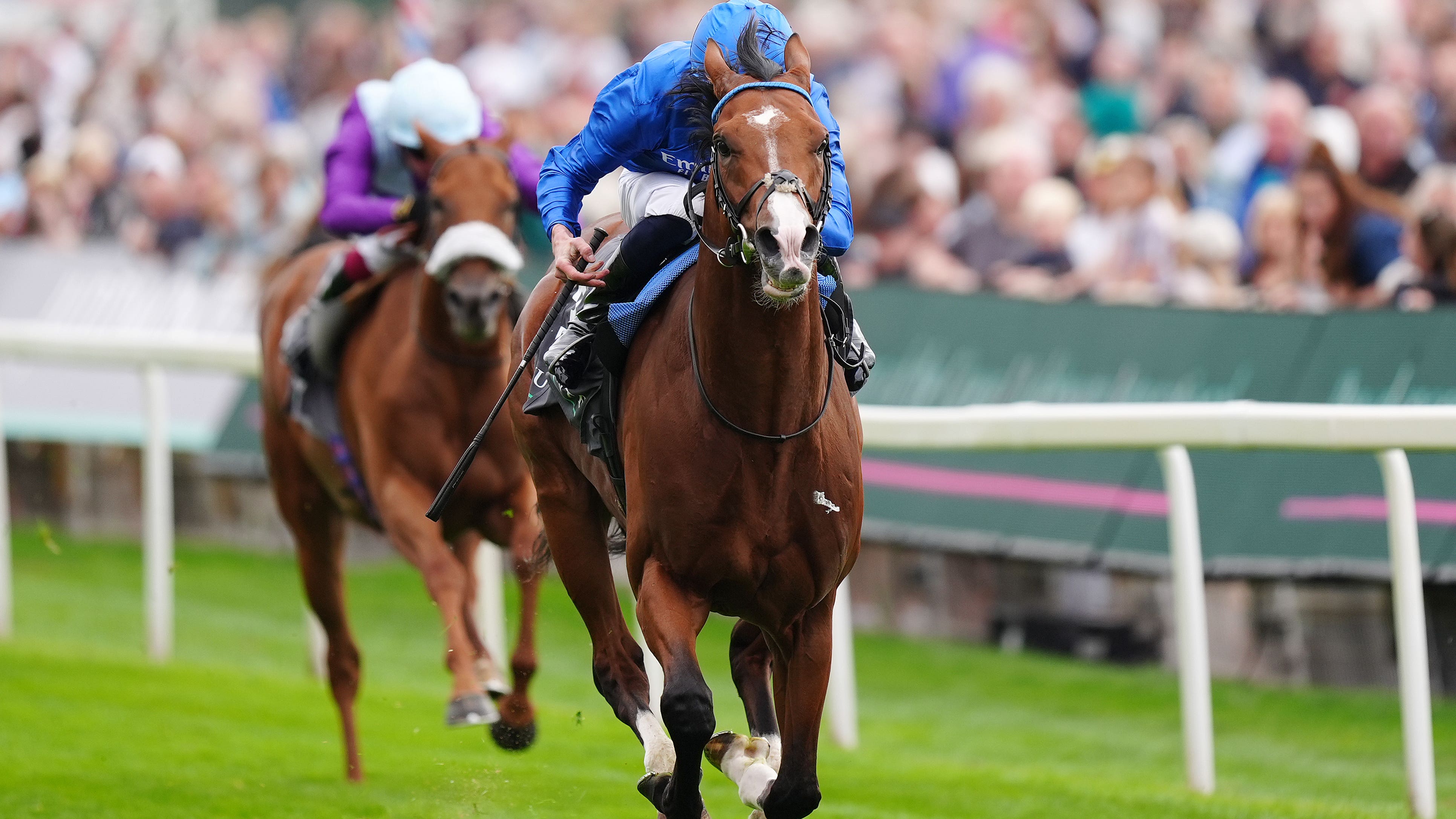 Gosden expects Ombudsman to improve for Sandown run