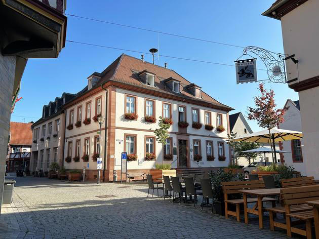 Babenhausen: GfB verliert alle Sitze in den Fachausschüssen