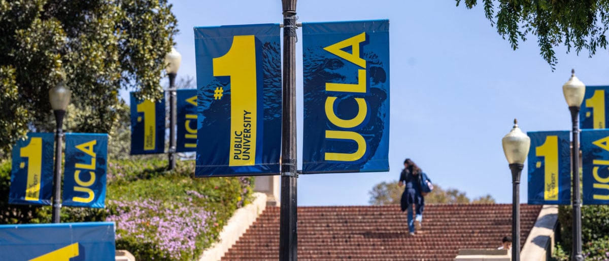 University professors beg for return of standardized tests as students ...