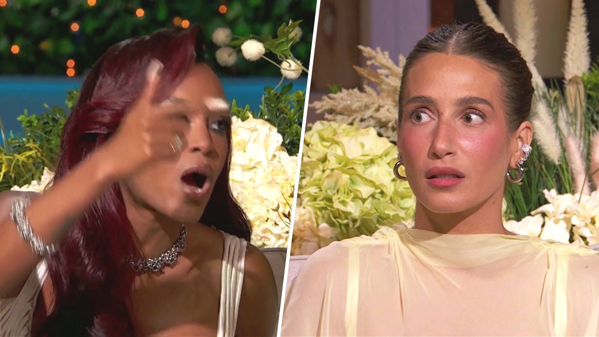 What happened at the 'Summer House' reunion?