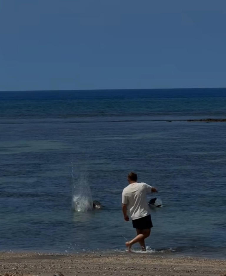 Disgusting package sent to home of West Coast man who hurled huge rock ...