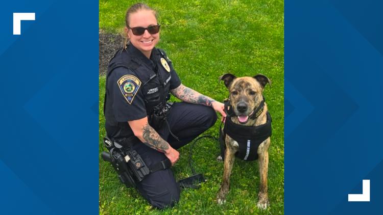 Lawrence police K-9 receives body armor donation