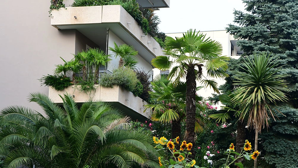 Nature-inspired and nostalgic styles reshape 2026 home design